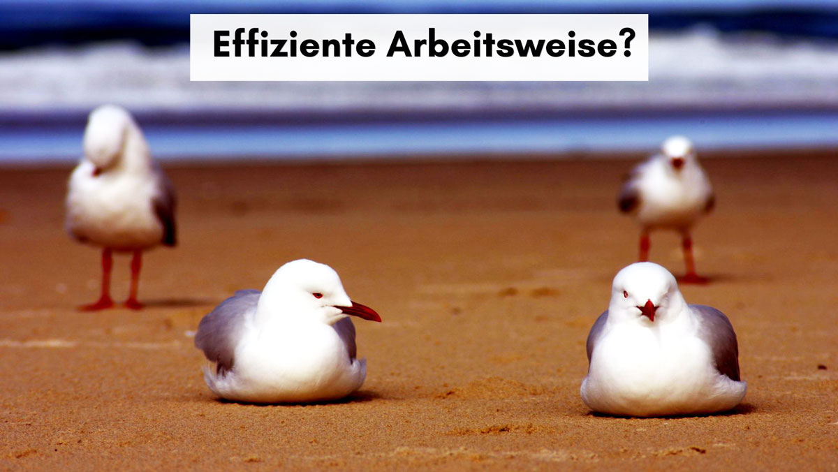 Aufgaben erledigen - Krokoblog